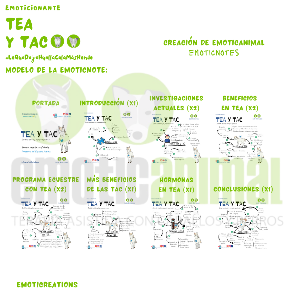 EmoticNote: TEA y TAC – EMOTICANIMAL
